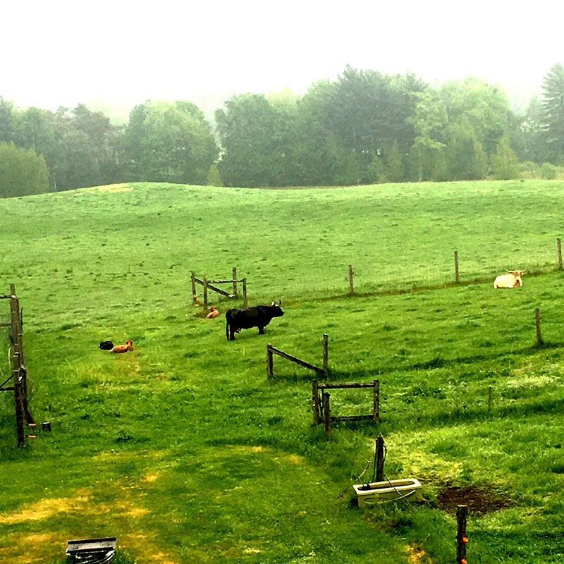 14 Robert Chartier - Tour des Arts [EN]